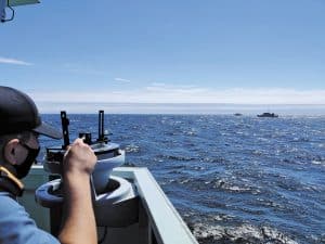 Orcas back to training at sea